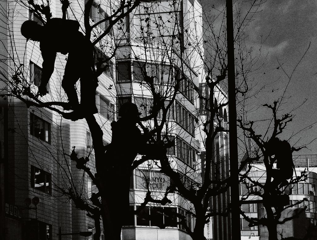 Daido Moriyama – the master street photographer – is back | Digital ...