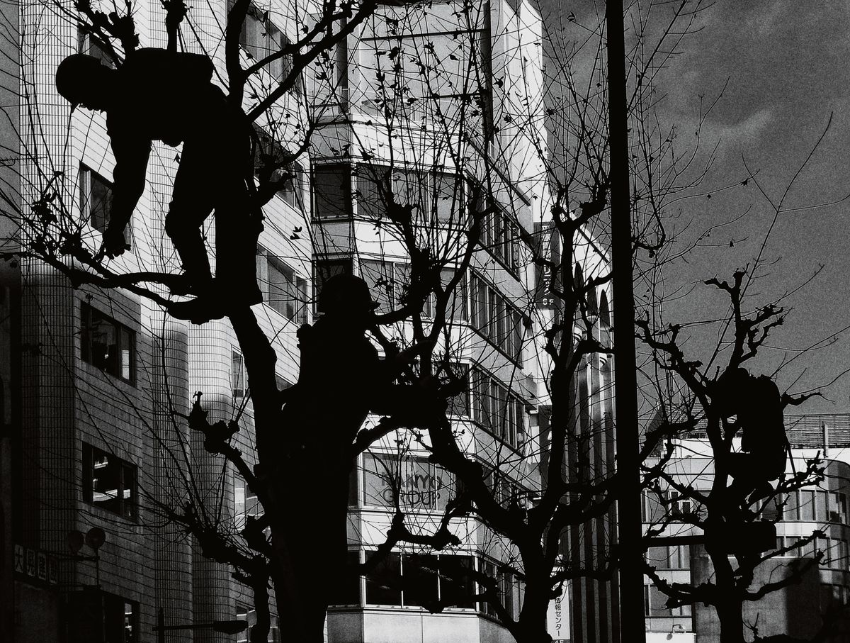 Daido Moriyama – the master street photographer – is back | Digital ...