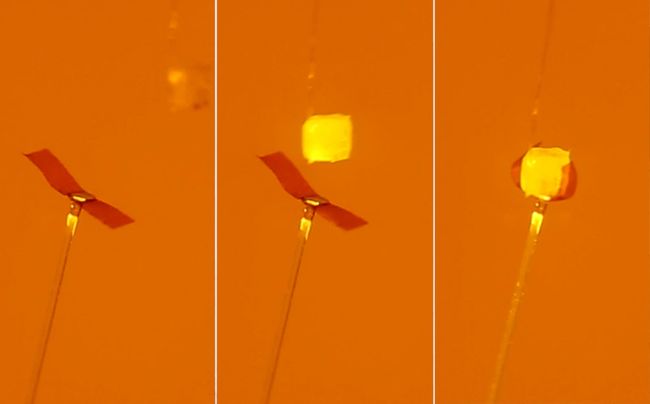 Robo-Venus Flytrap Could Help Bots Grasp Objects | Live Science