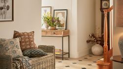 How to get rid of springtail bugs in the house | Homes and Gardens