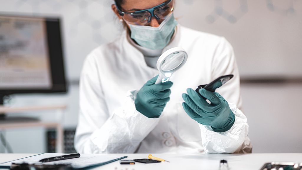 The woman who solves murders: a forensic scientist gives us an insight ...