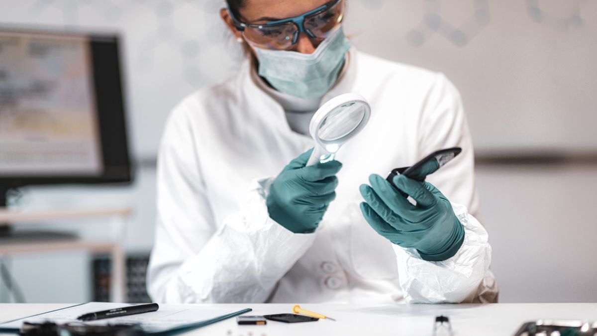 The woman who solves murders: a forensic scientist gives us an insight ...