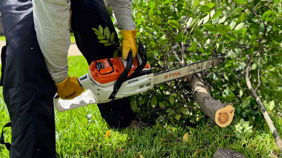 STIHL MSA 300 Cordless Chainsaw review | Top Ten Reviews
