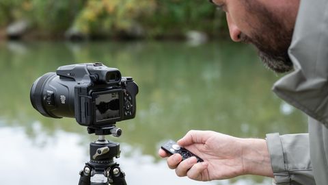 Nikon Coolpix P1000 vs. P1100: what exactly has changed, and why ...