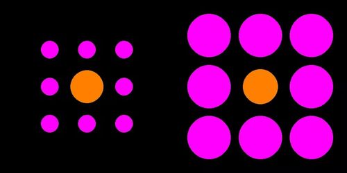 Mind-boggling horse optical illusion stumps the internet | Creative Bloq