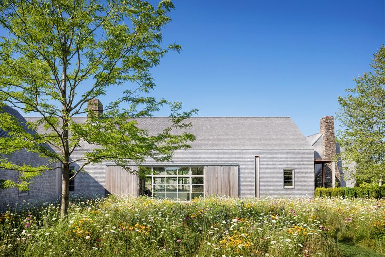 Tree landscaping ideas for planting a beautiful space | Livingetc