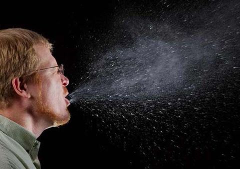 Gasp! 11 Surprising Facts About the Respiratory System | Live Science