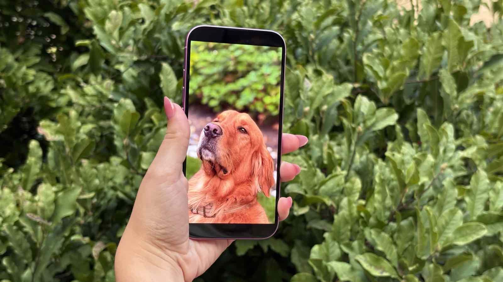 I’ve got two fresh iPhone 17 rumors for you, but one of them stinks ...