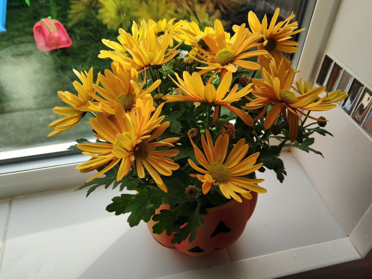 Razer Phone review: An Android handset with a sharp design and an ...