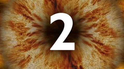 New FurMark Version 2.0 Arrives After 16 Years | Tom's Hardware