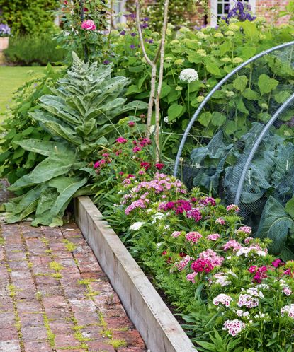How deep should a raised garden bed be? Find out from the experts ...