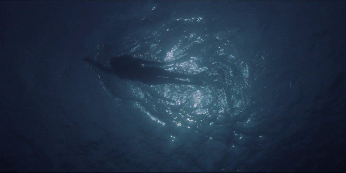 12 Jaws Behind-The-Scenes Facts You Might Not Know | Cinemablend