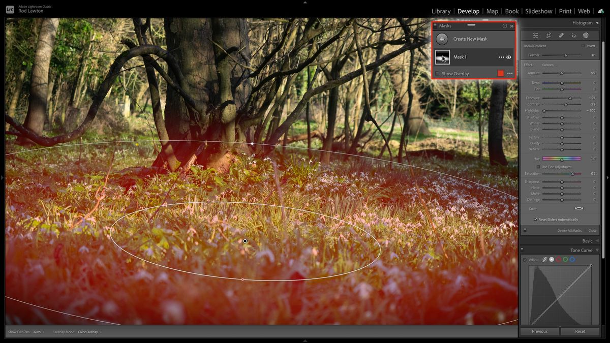 Lightroom hack #08: Radial gradient relighting | Digital Camera World