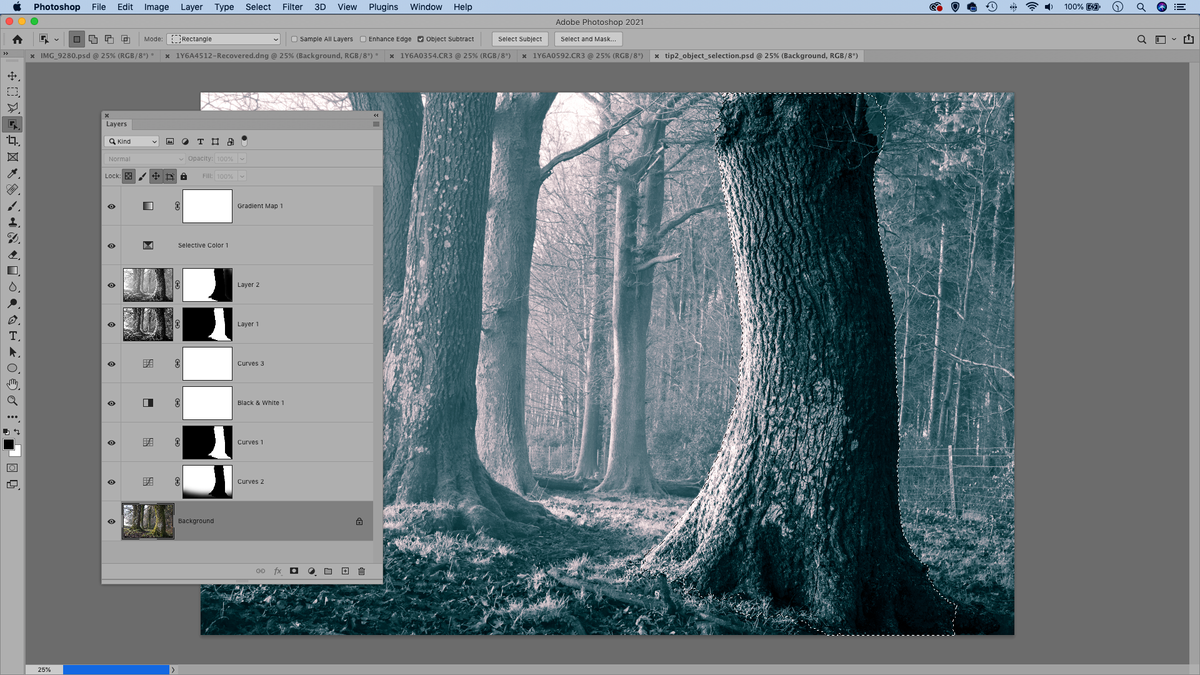Top 10 AI tools in Photoshop (and is the rise of one-click editing a ...