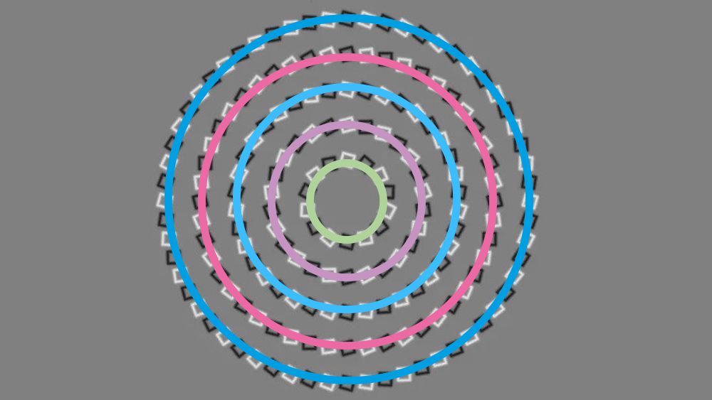 This head-spinning optical illusion has just broken my brain | Creative ...