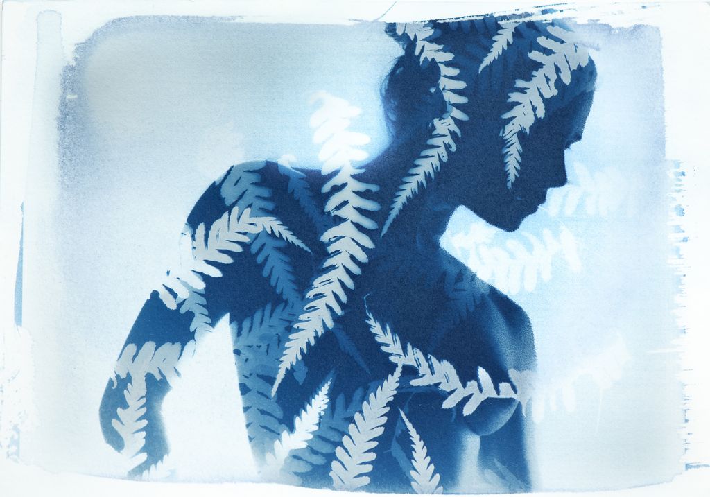 Craft your own cyanotypes at home with this quick and easy setup ...