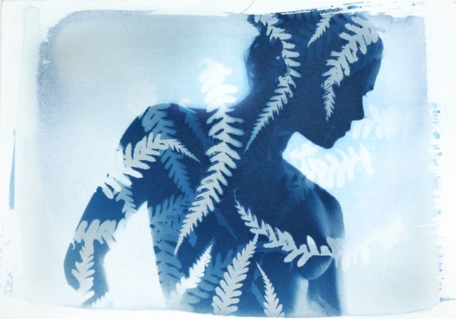 Craft your own cyanotypes at home with this quick and easy setup ...
