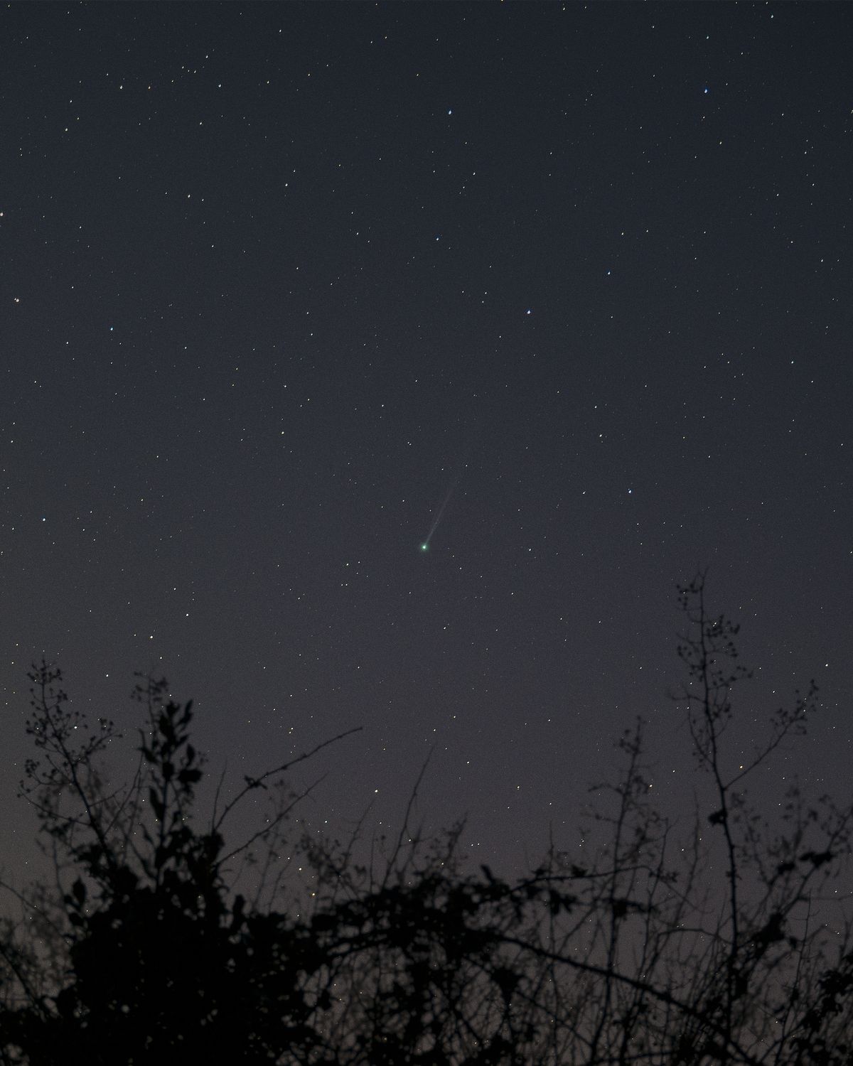 Newly discovered Comet C/2025 F2 (SWAN) captured in stunning photo blazing across UK skies | Space