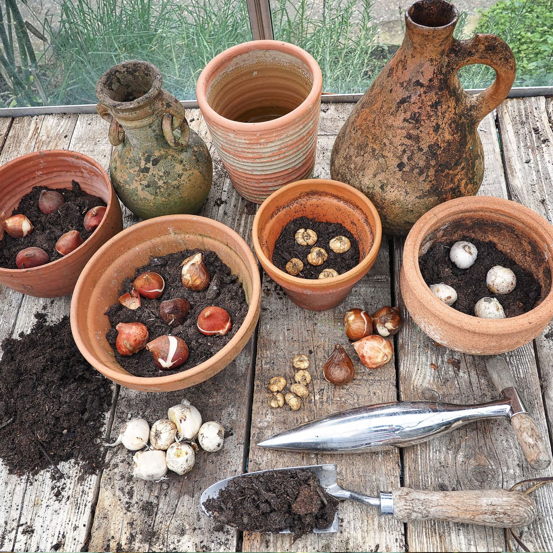 Why now is the best time to buy bulbs for your garden | Ideal Home