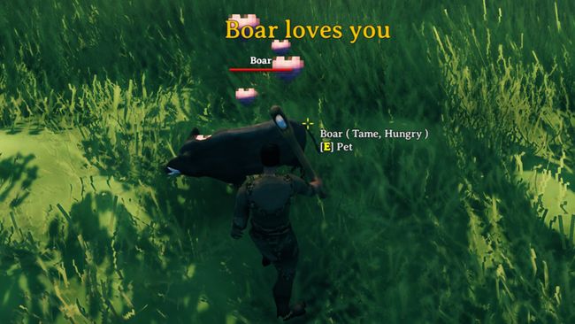 Valheim boars: How to tame and breed them | PC Gamer