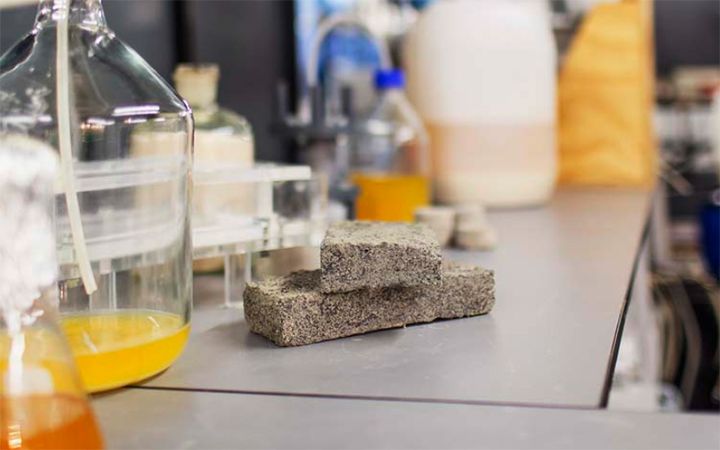 11 Surprising Uses For Pee and Poop | Live Science