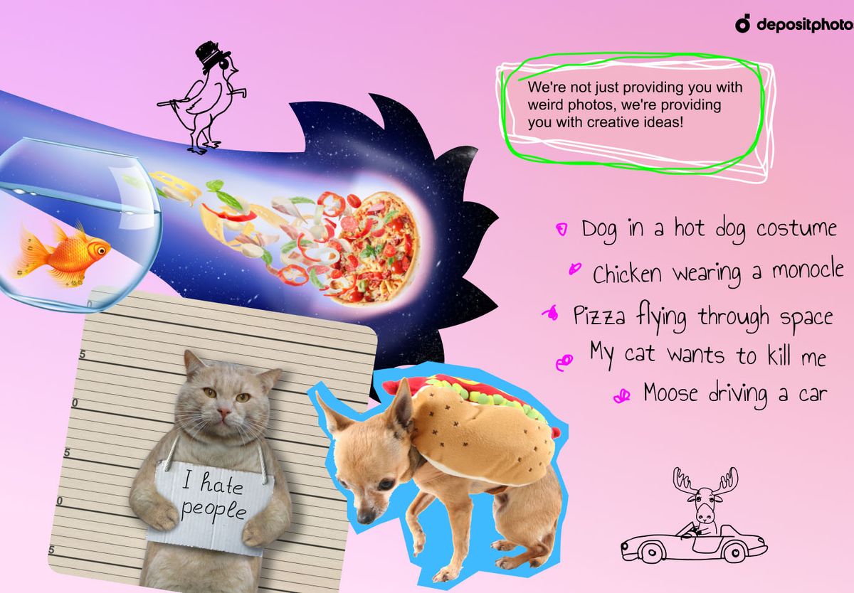 Your stock image searches are really weird | Creative Bloq