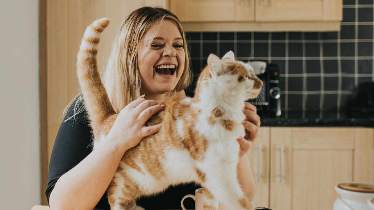 10 weird cat behaviors explained by an expert | PetsRadar