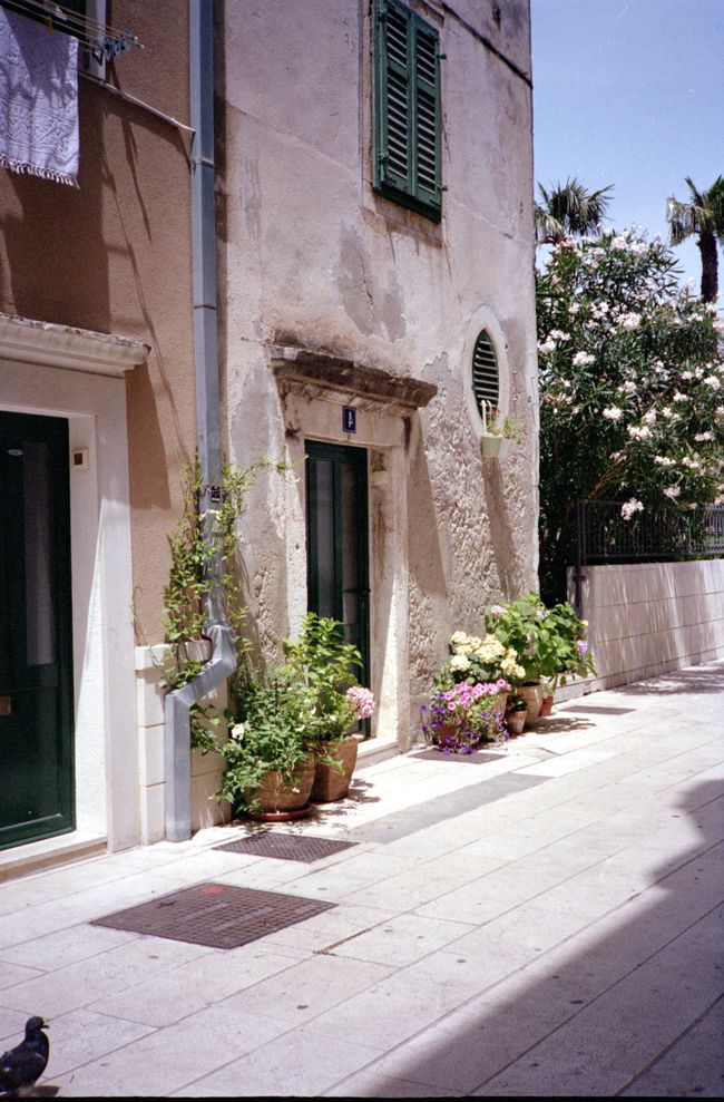 Epson Perfection V850 Pro scanner review | Digital Camera World