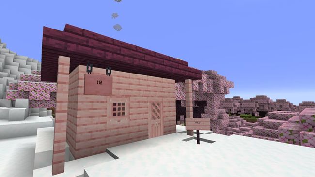 Minecraft's getting a whole new biome, but all I care about is this ...