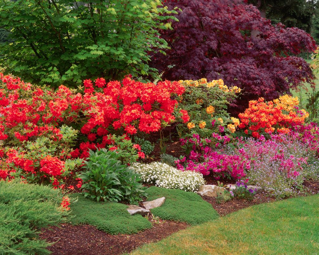 Layered Garden Design – How To Create A Lush Landscape | Gardening Know How