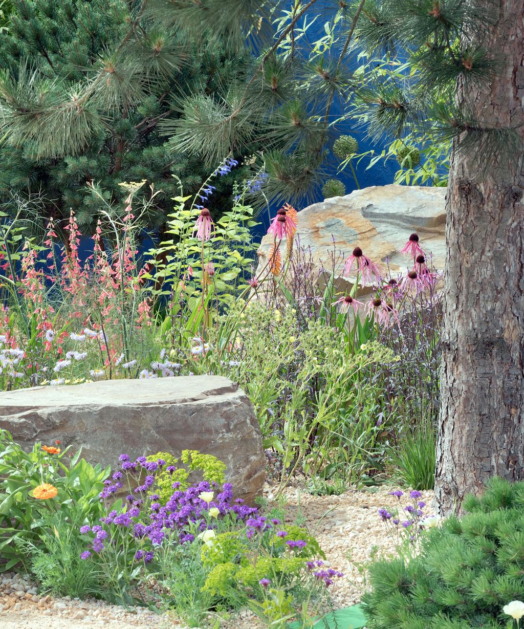 How to clean landscaping rocks: simple methods that work | Homes and ...