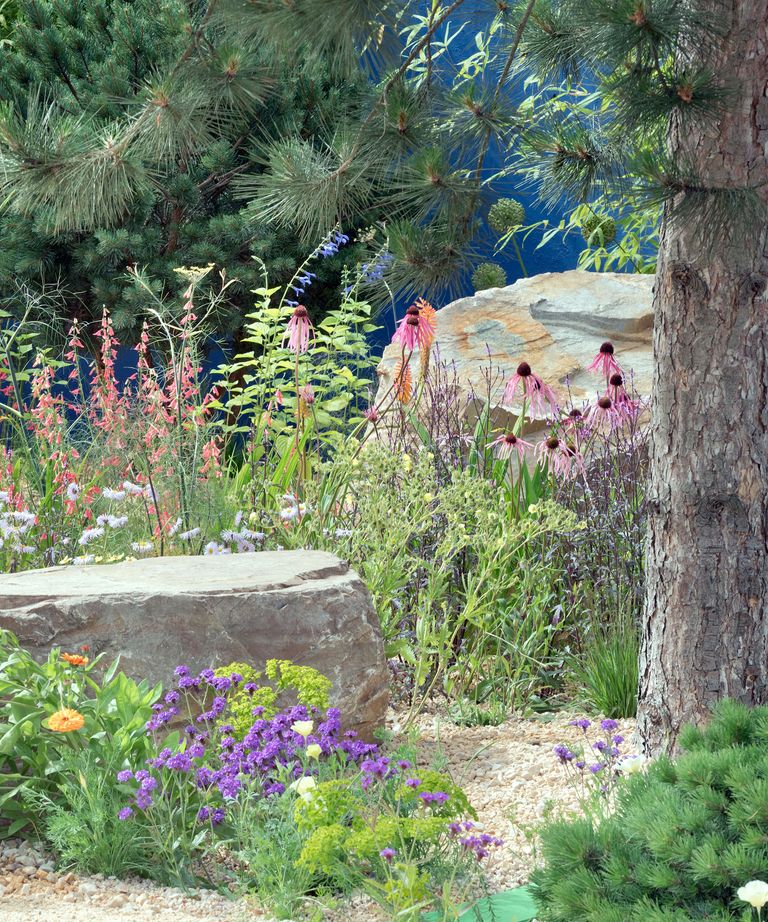 How to clean landscaping rocks: simple methods that work | Homes and ...