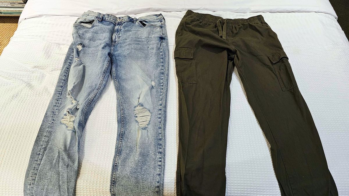 Samsung's luxury steaming and drying wardrobe is exactly what I need in ...