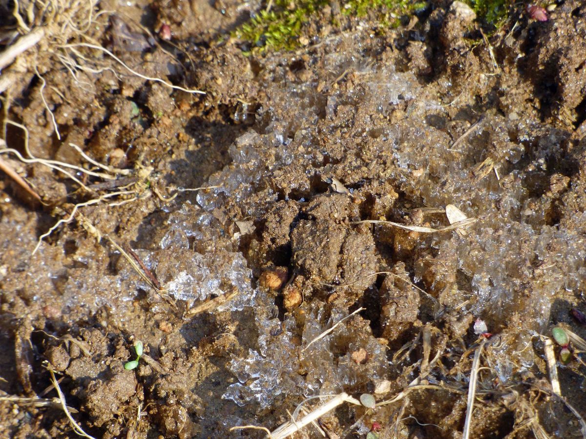 Digging In Frozen Soil - How To Tell If Ground Is Frozen Solid ...