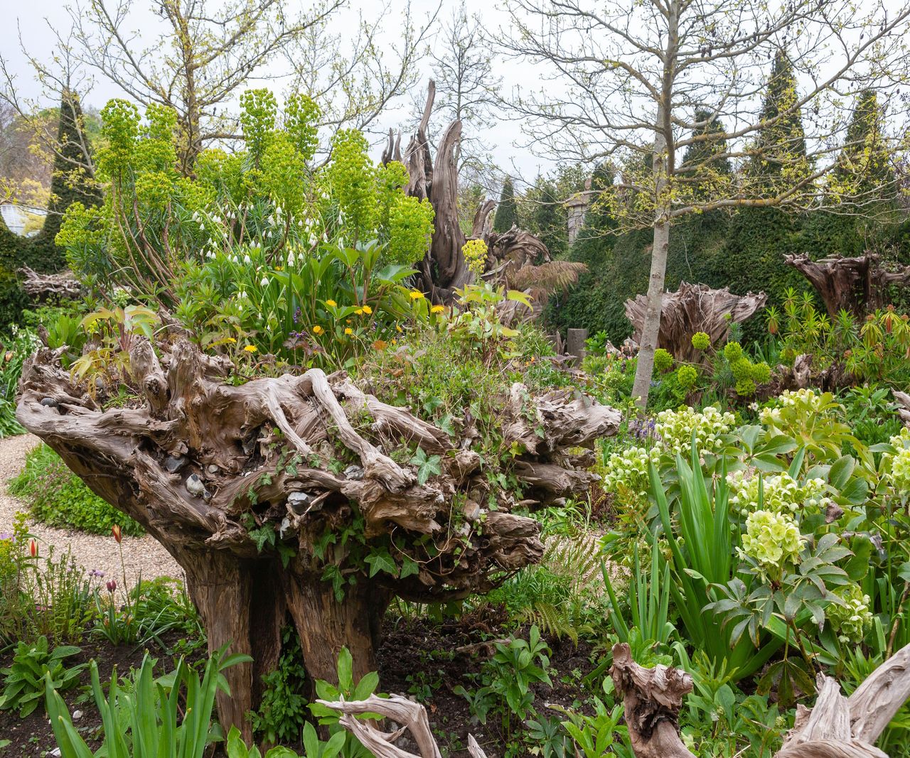 What is a stumpery? - experts explain plus how to create one | Homes ...