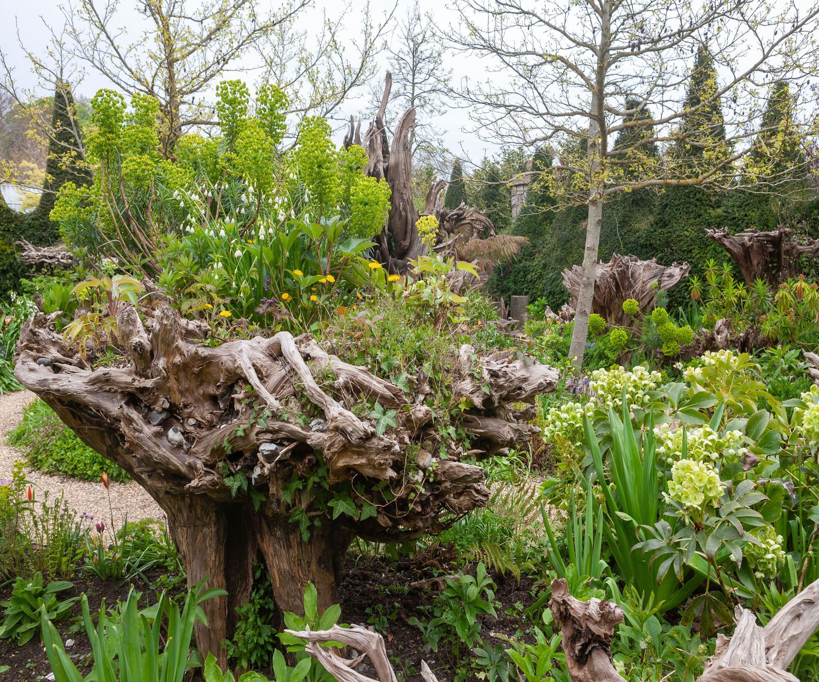 What is a stumpery? - experts explain plus how to create one | Homes ...