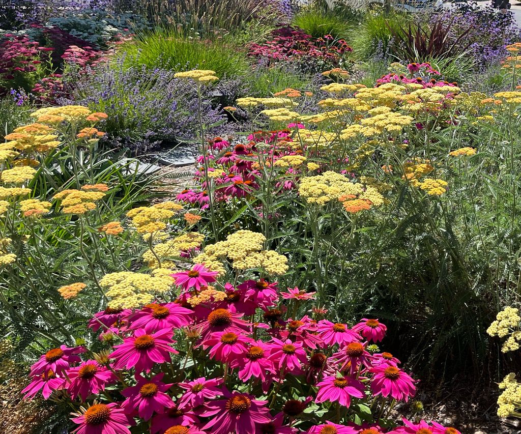 Discover where to begin with matrix planting | Homes and Gardens
