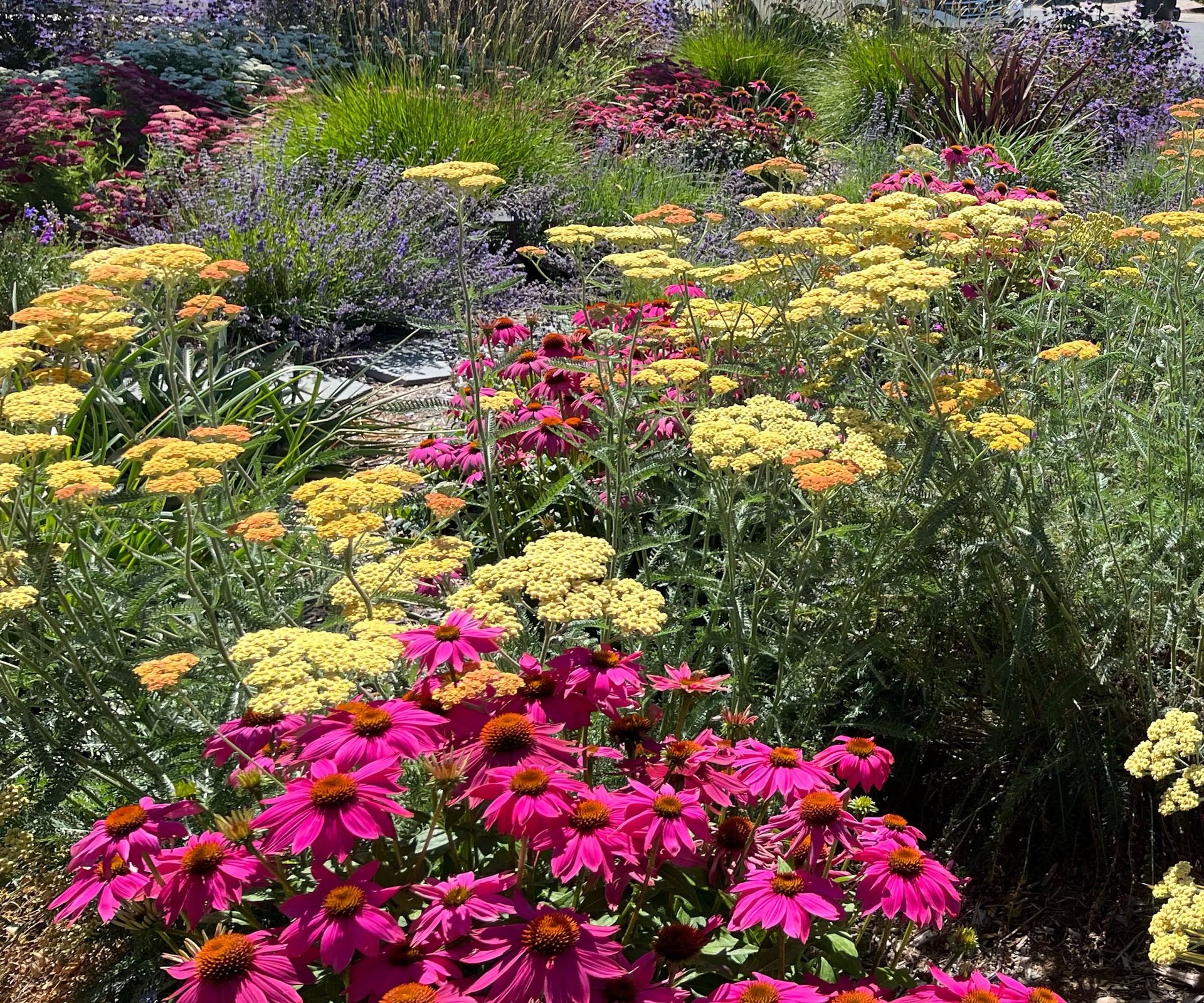 Discover where to begin with matrix planting | Homes and Gardens