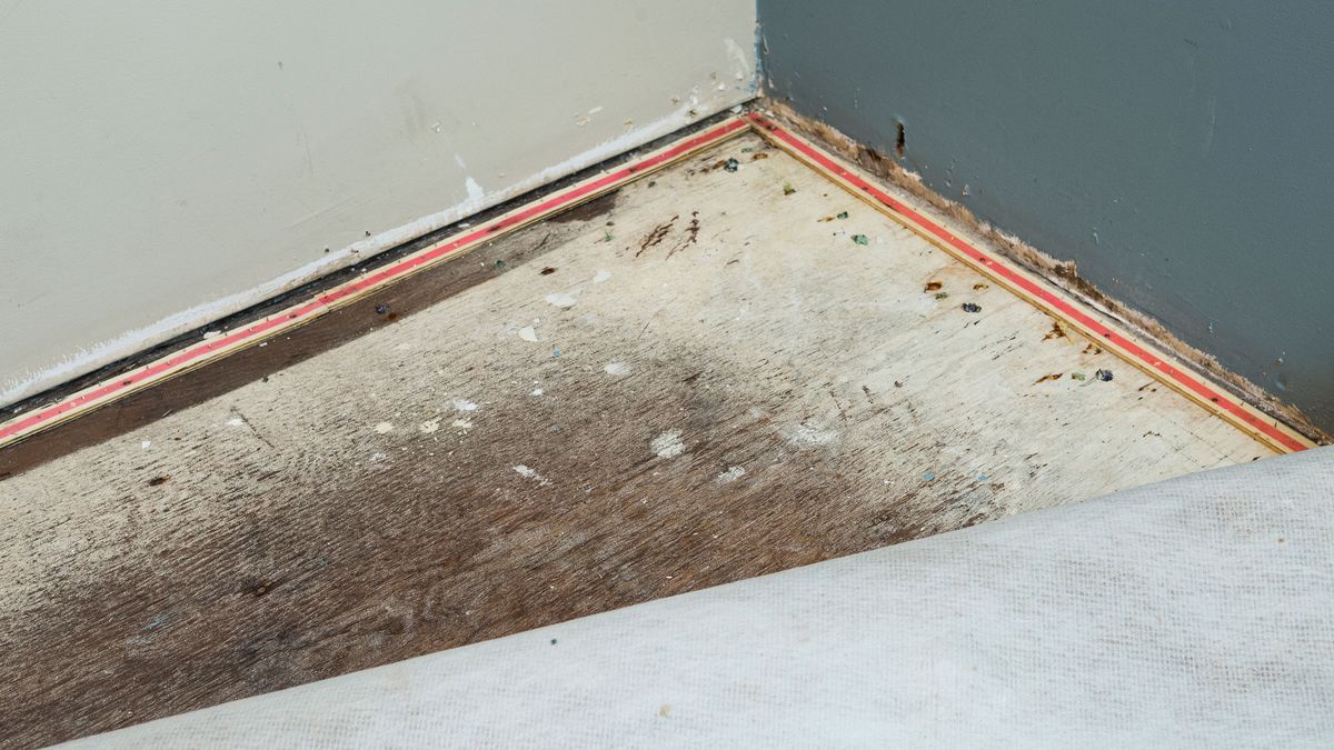 How to remove mould from carpet and stop it coming back | Homebuilding