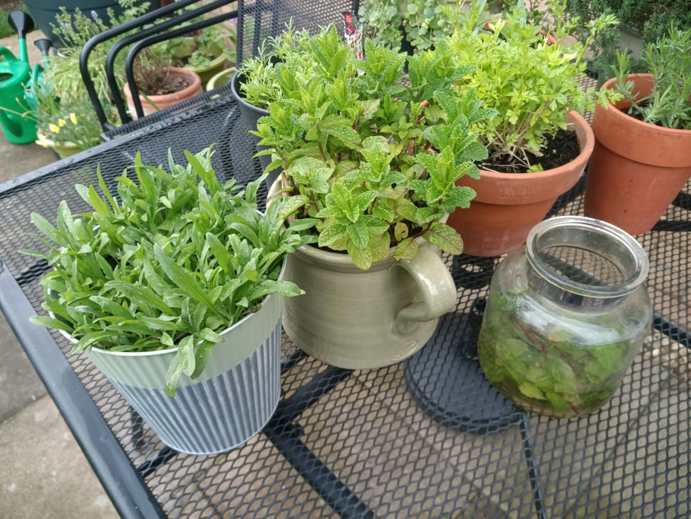 Planet Computers Astro Slide 5G review | TechRadar