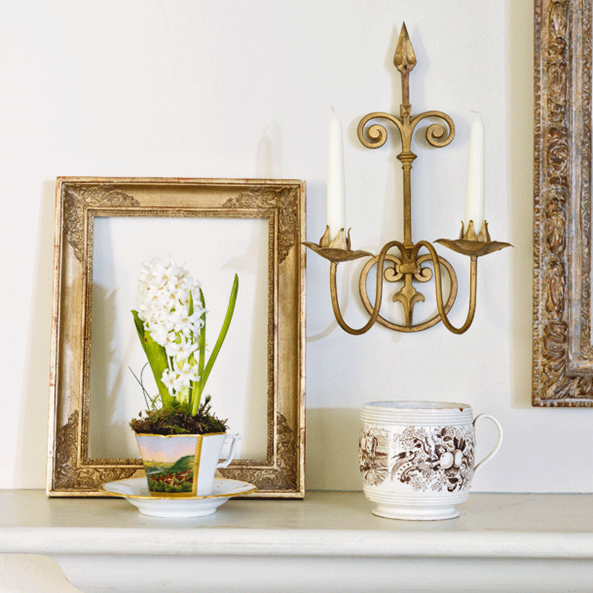 The indoor spring bulb hack that will fill your garden with colour ...