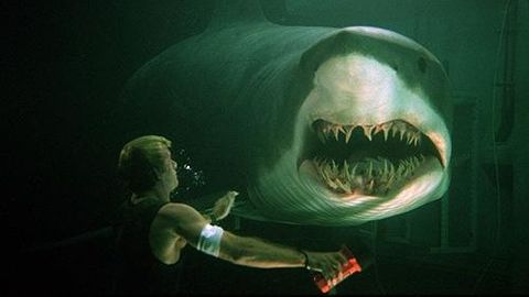 Best shark movies of all time, ranked | Live Science