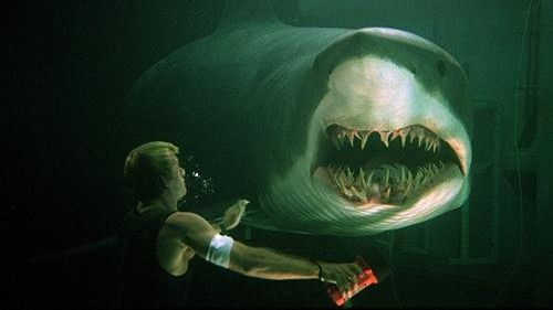 Best shark movies of all time, ranked | Live Science