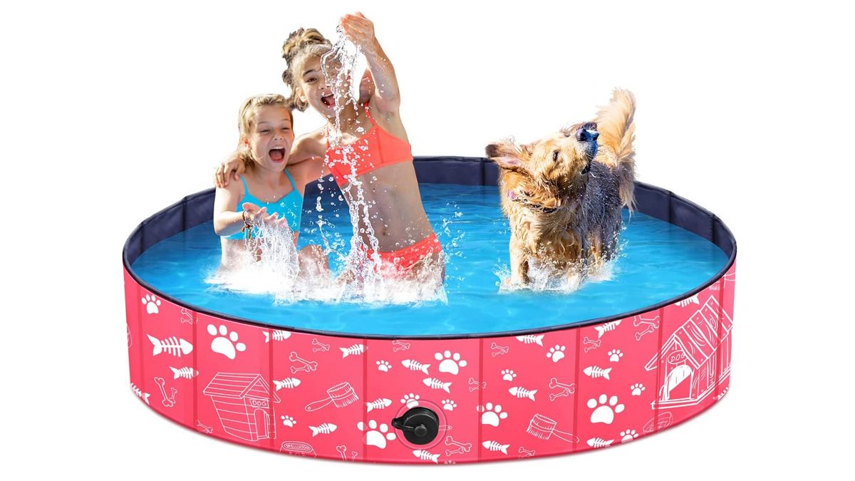 Best swimming pools for dogs: Puncture-proof and portable | PetsRadar
