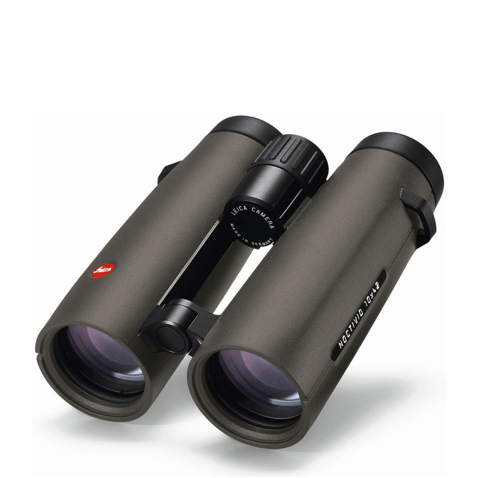 Best binoculars 2025: Our picks for stargazing, bird watching and ...