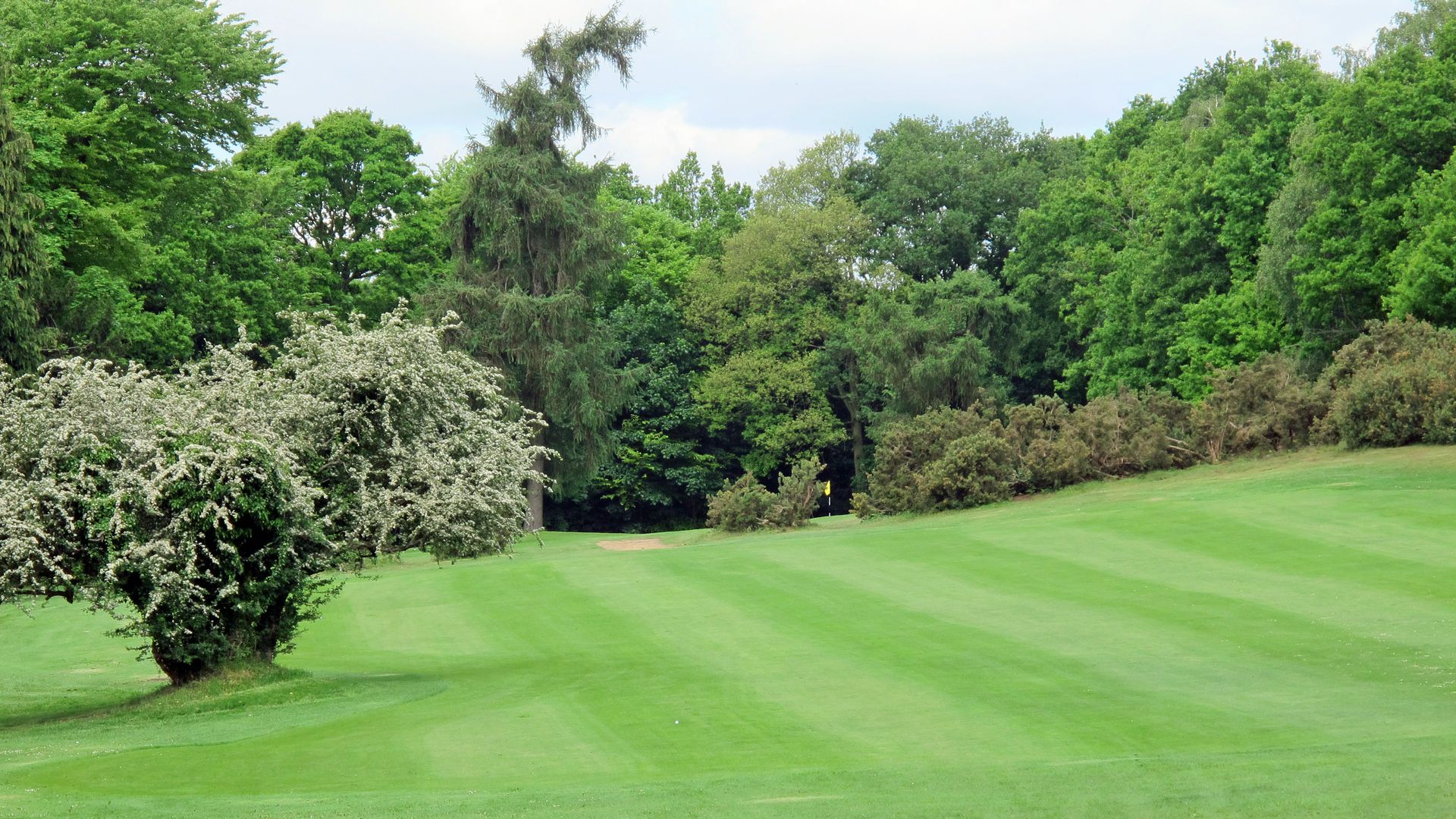Puttenham Golf Club Course Review | Golf Monthly