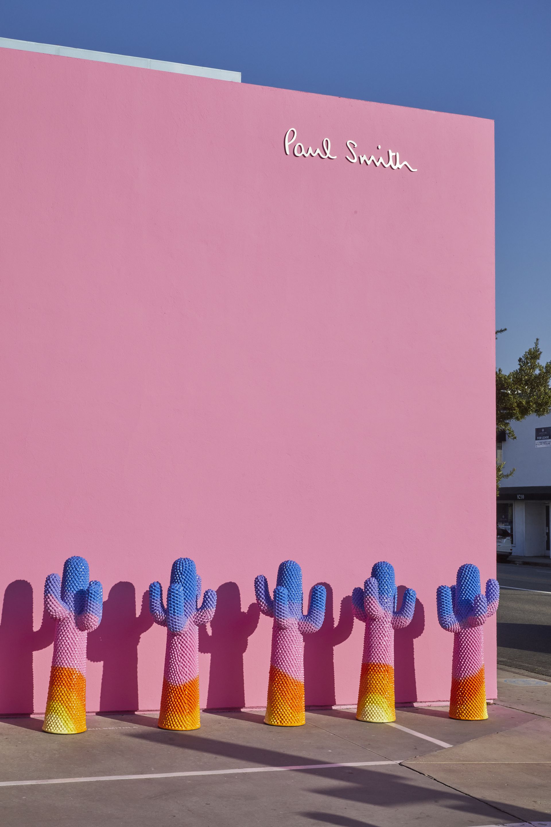Gufram Cactus by Paul Smith is like a sunrise | Wallpaper*