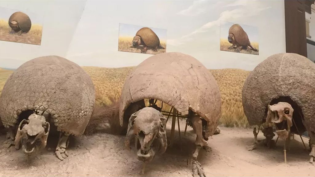 15 extinct giants that once roamed North America | Live Science