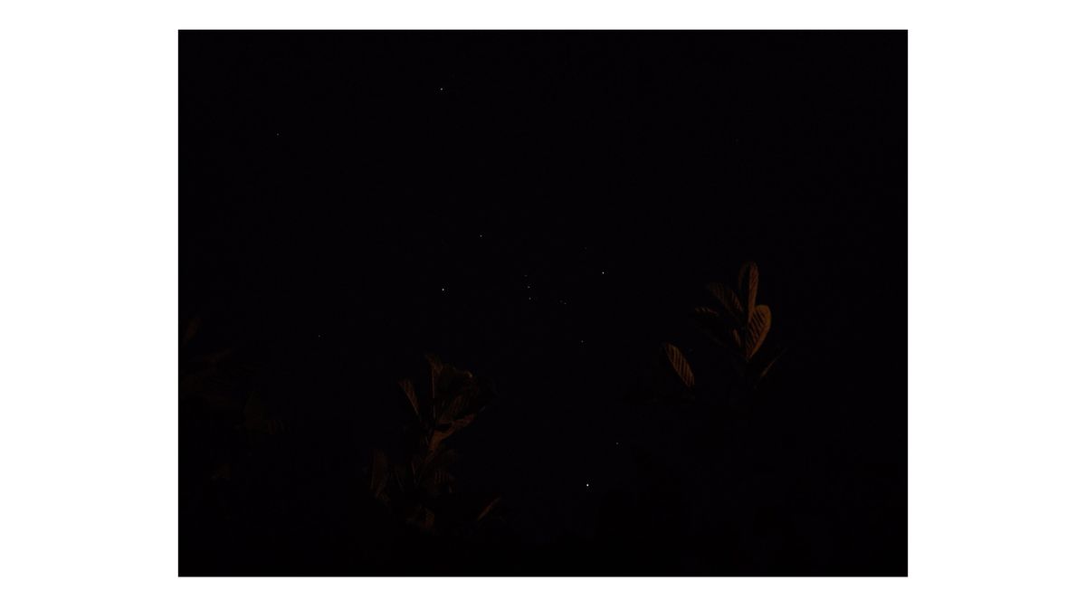 Samsung Galaxy S23 Ultra camera samples highlight impressive night and ...