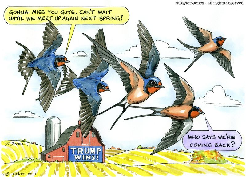 Cartoons: News, analysis and opinion - Page 2 | The Week